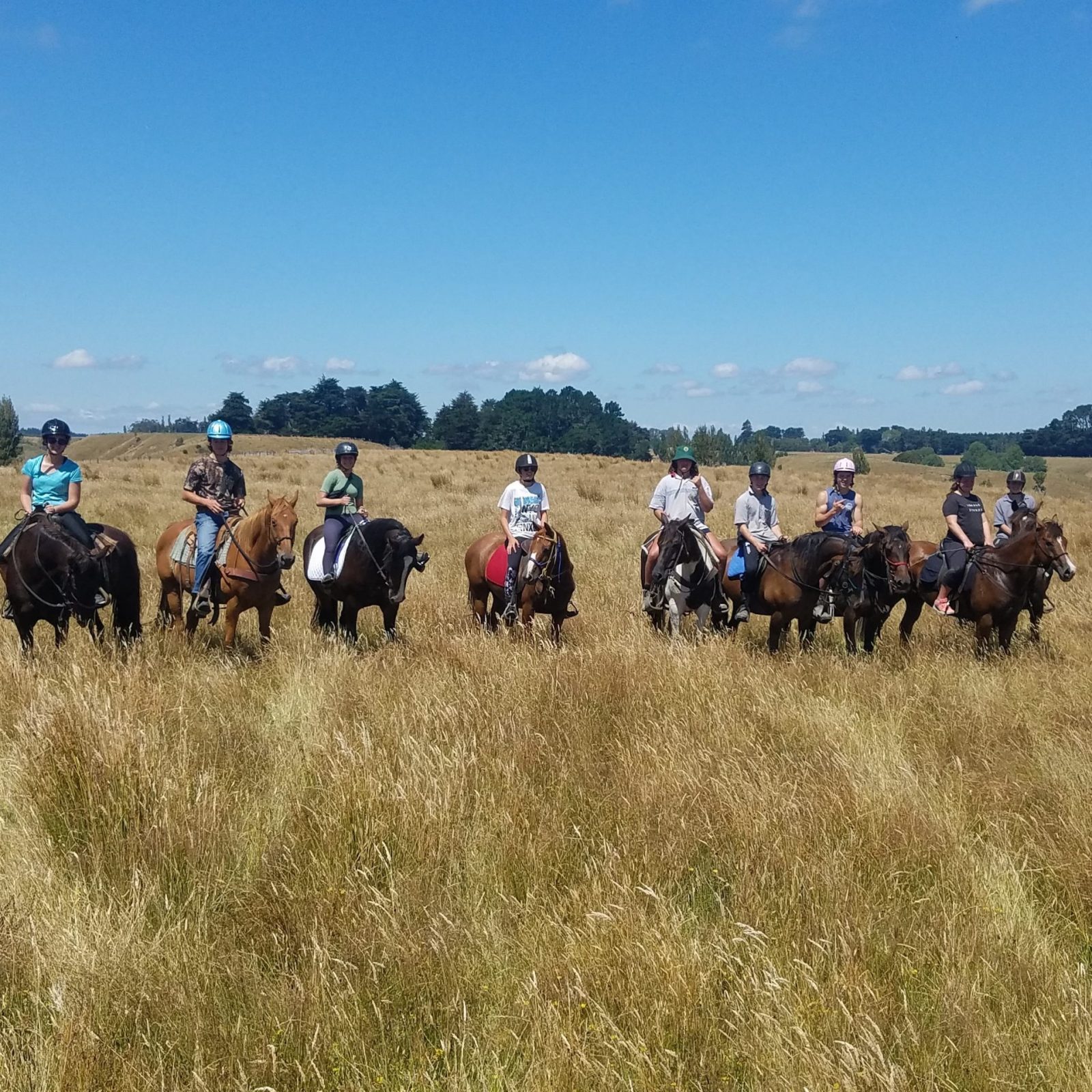Home - Falling Creek Ranch Camps & Horse Treks