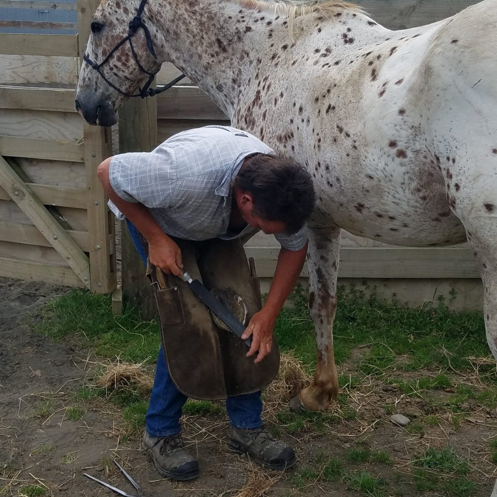 Home - Falling Creek Ranch