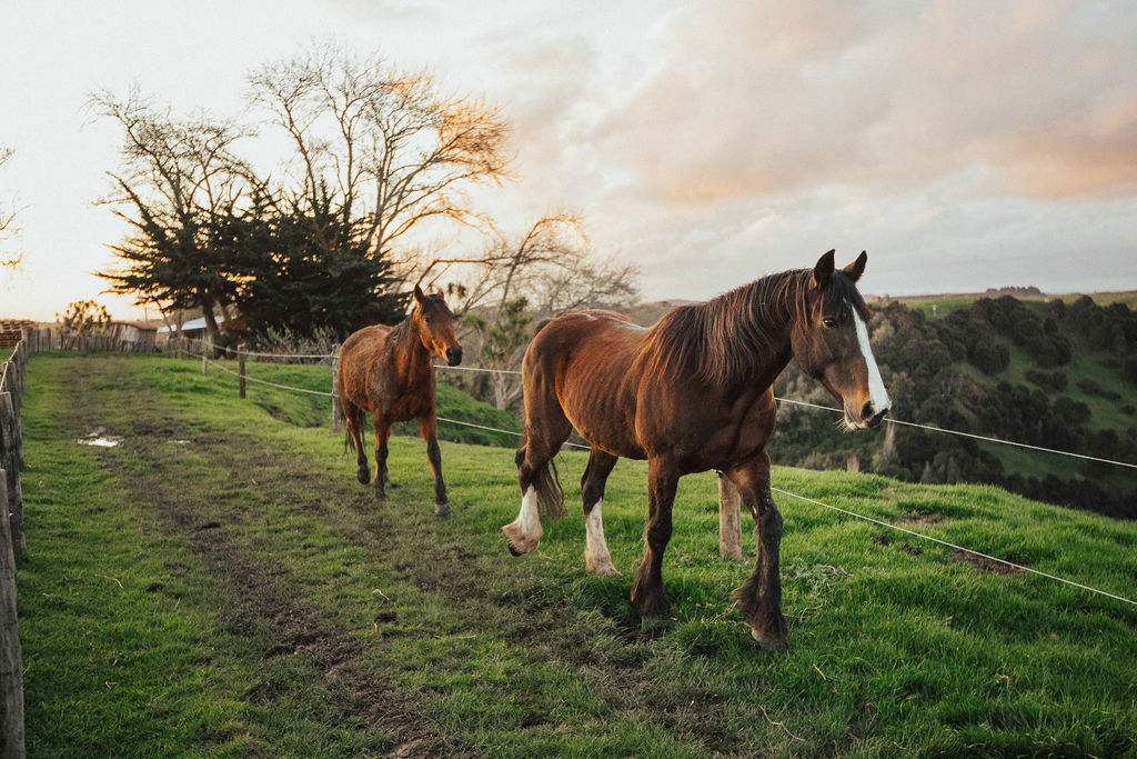 Teen Camps - Falling Creek Ranch