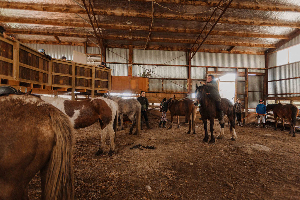 Falling Creek Ranch – Camps & Horse Treks