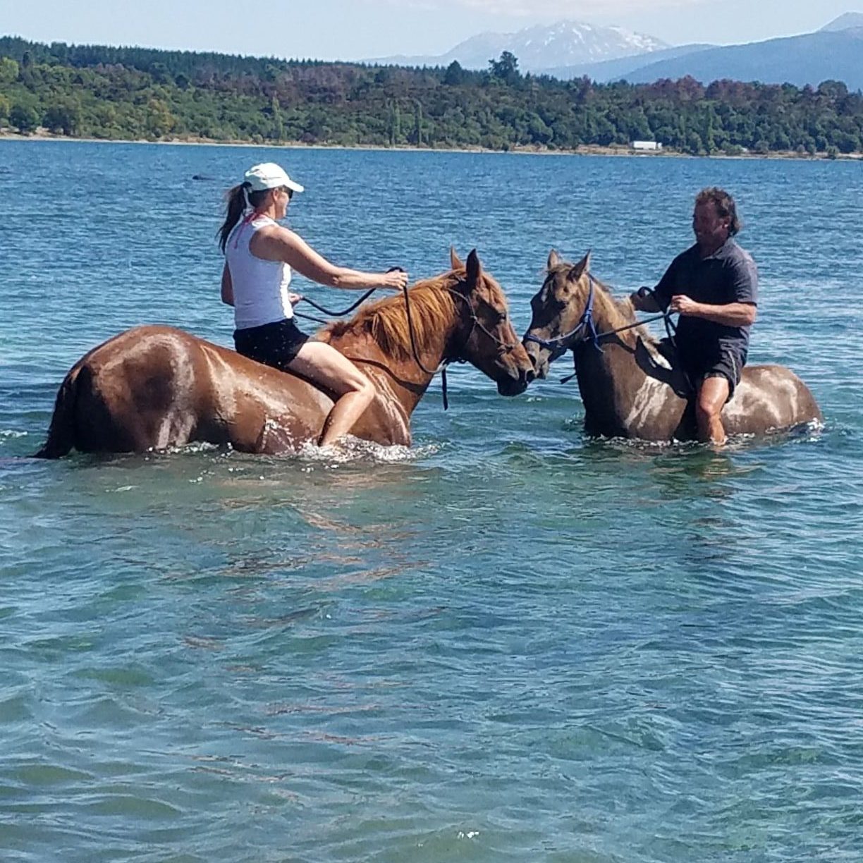 Gallery - Falling Creek Ranch