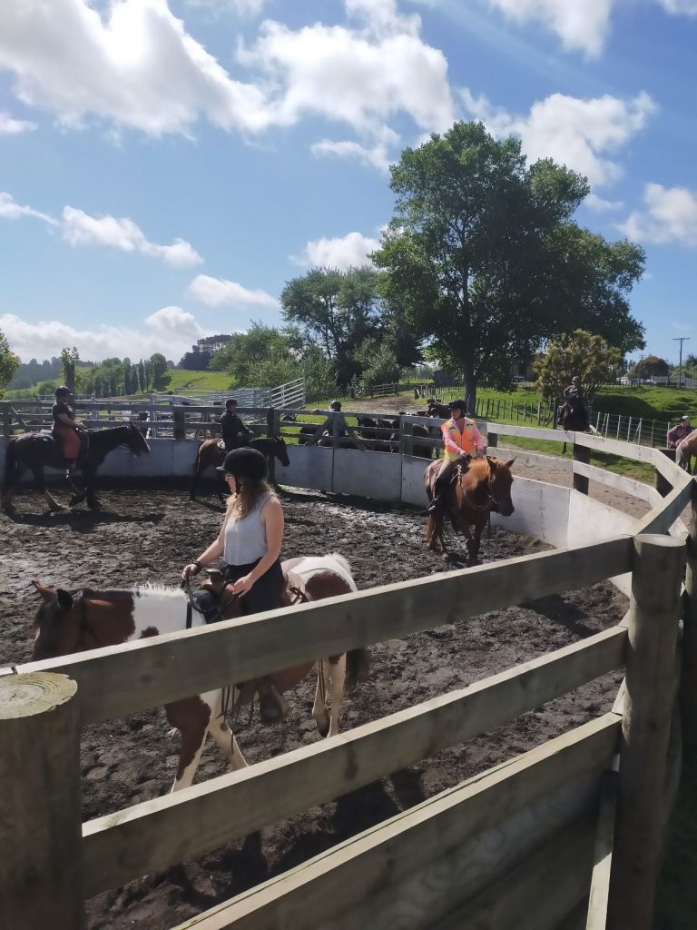 Teen Camps - Falling Creek Ranch