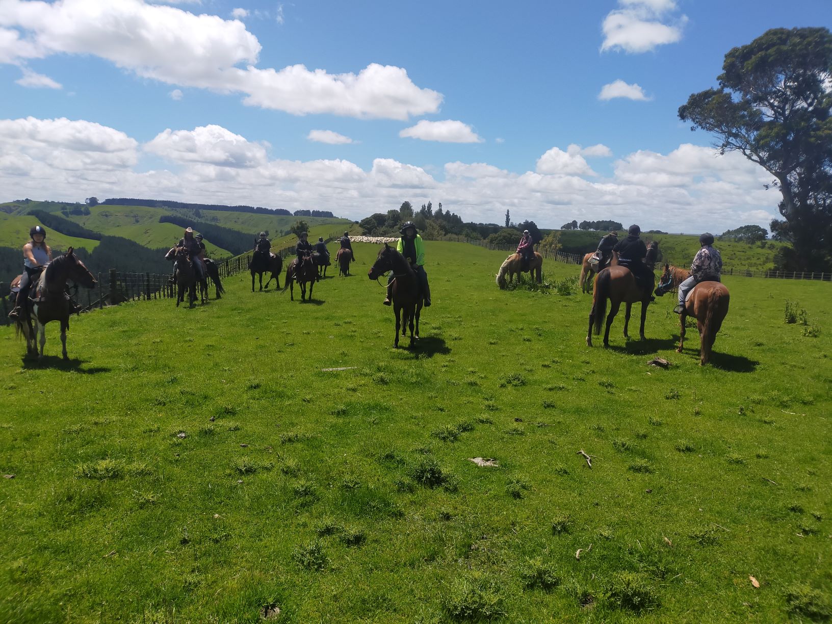 Adult Horse Riding Camps - Falling Creek Ranch