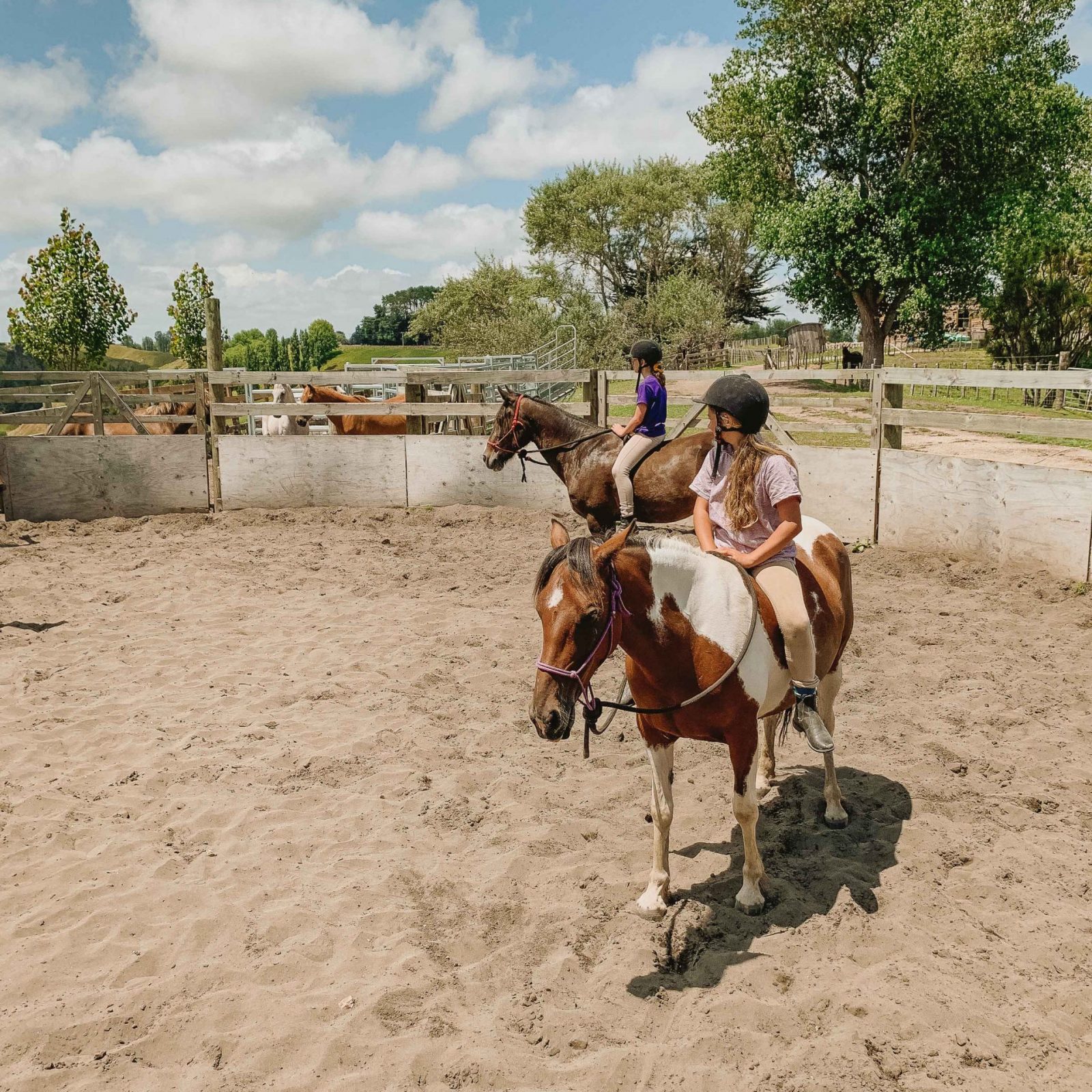 Home - Falling Creek Ranch