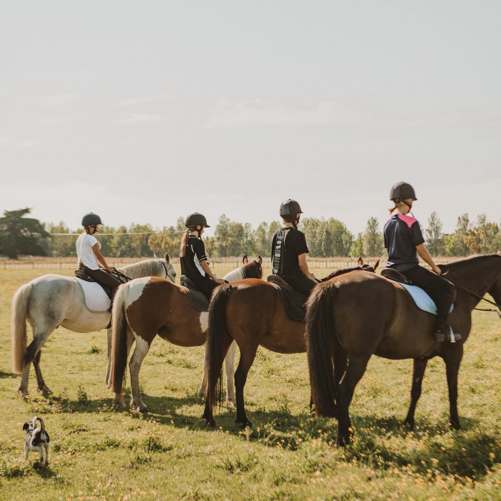 Gallery - Falling Creek Ranch