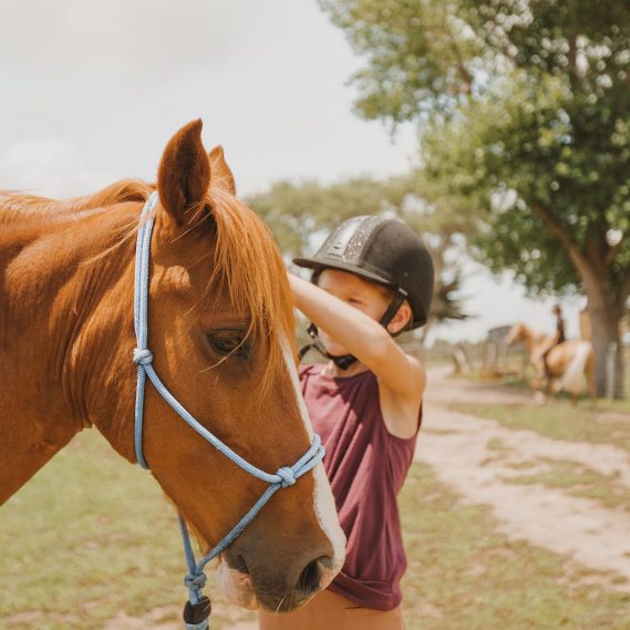Natural Horsemanship Rope Halters and Leads - Falling Creek Ranch