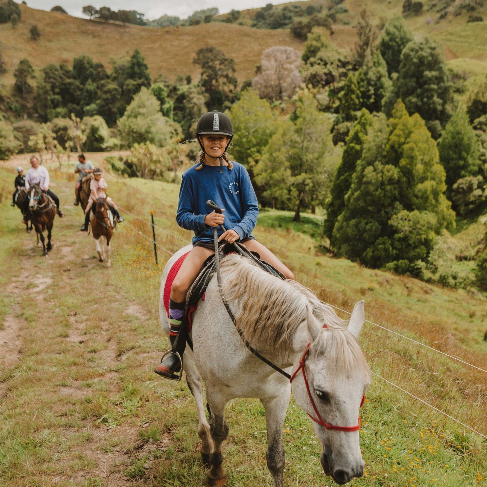 Home - Falling Creek Ranch