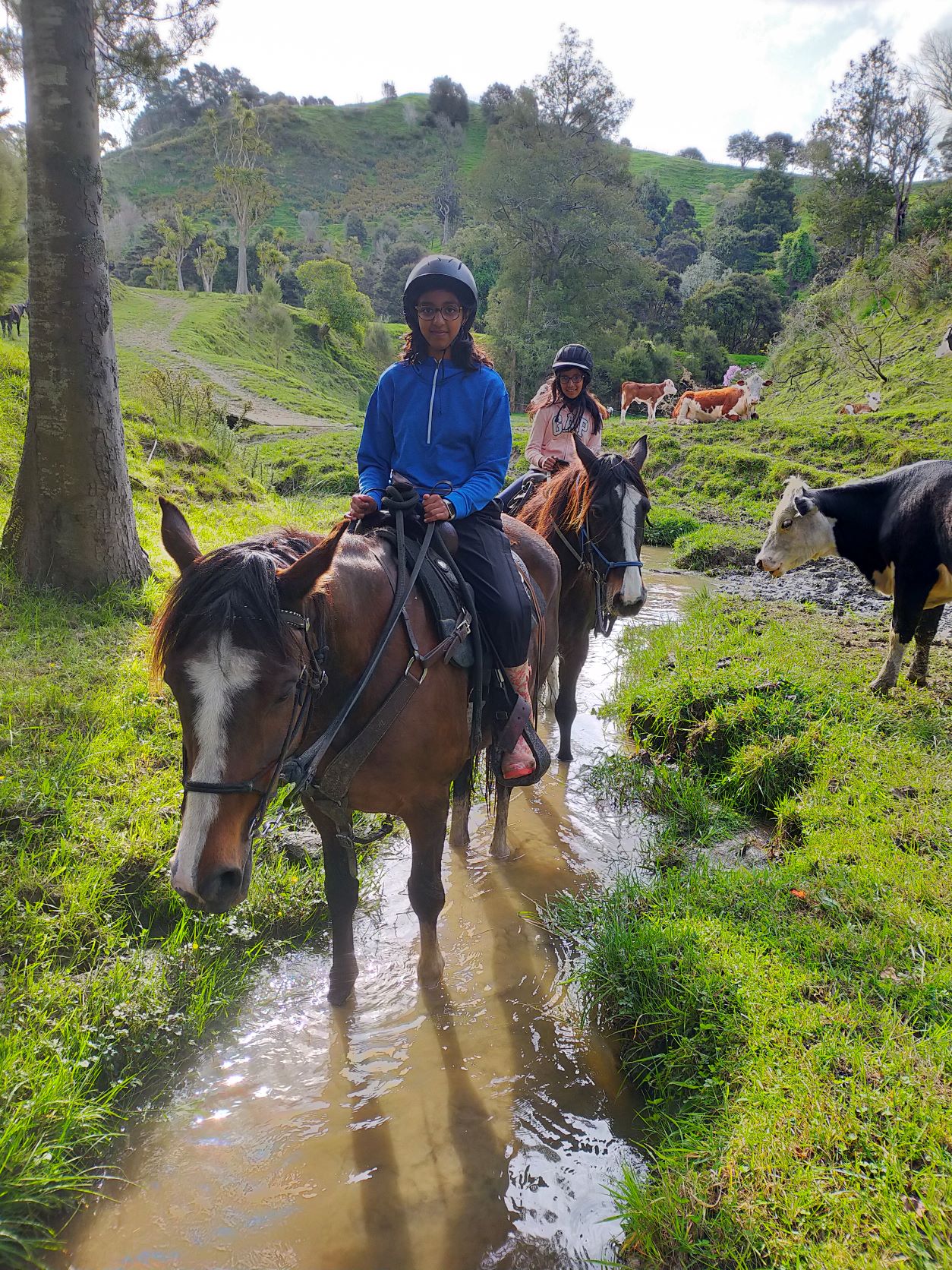 Treks - Falling Creek Ranch