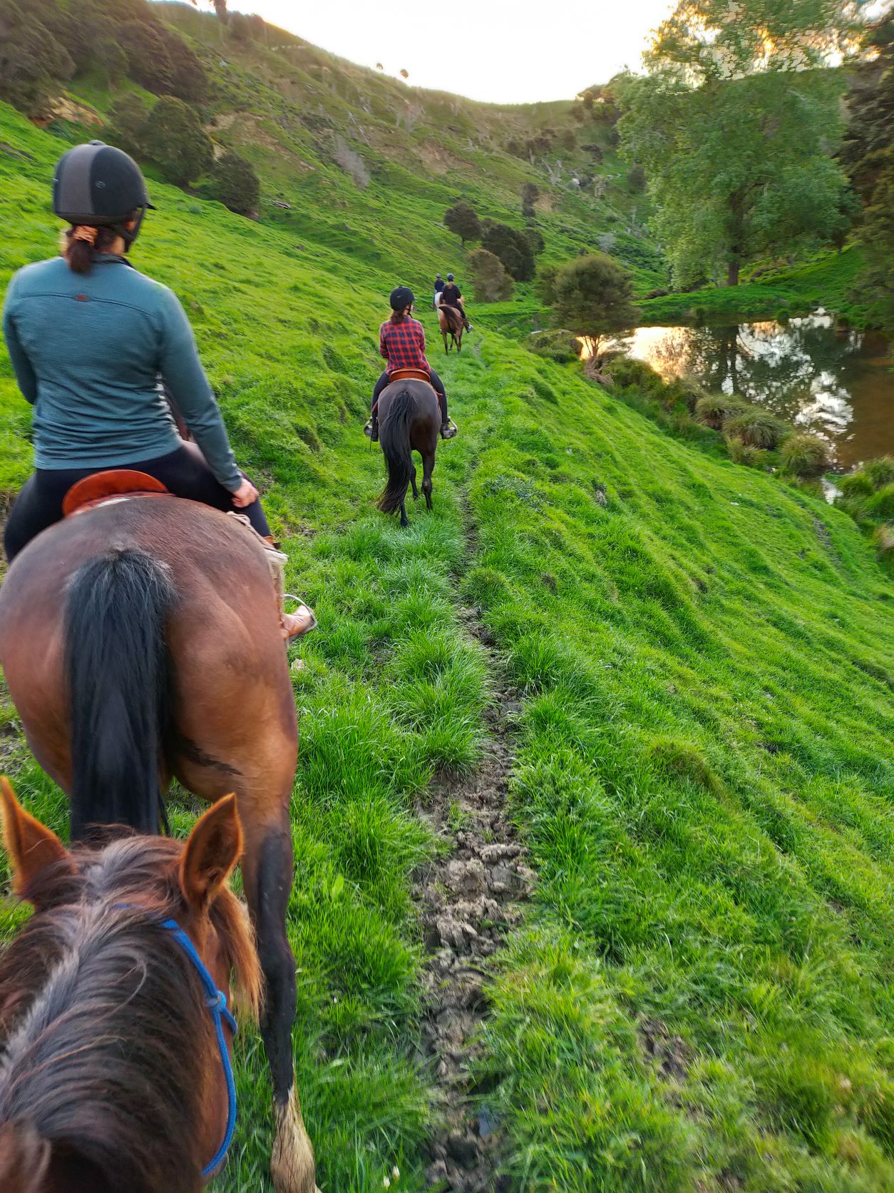 Adult Horse Riding Camps - Falling Creek Ranch
