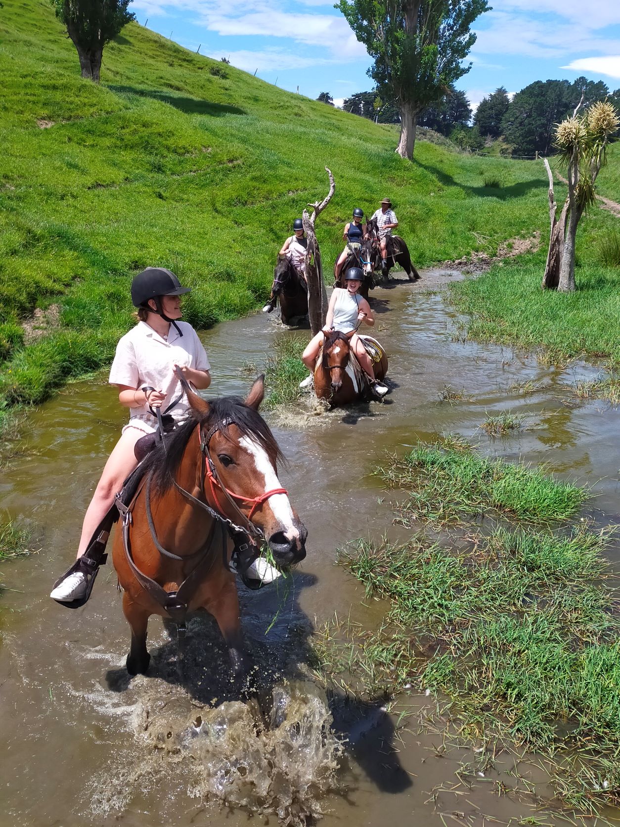 Treks - Falling Creek Ranch