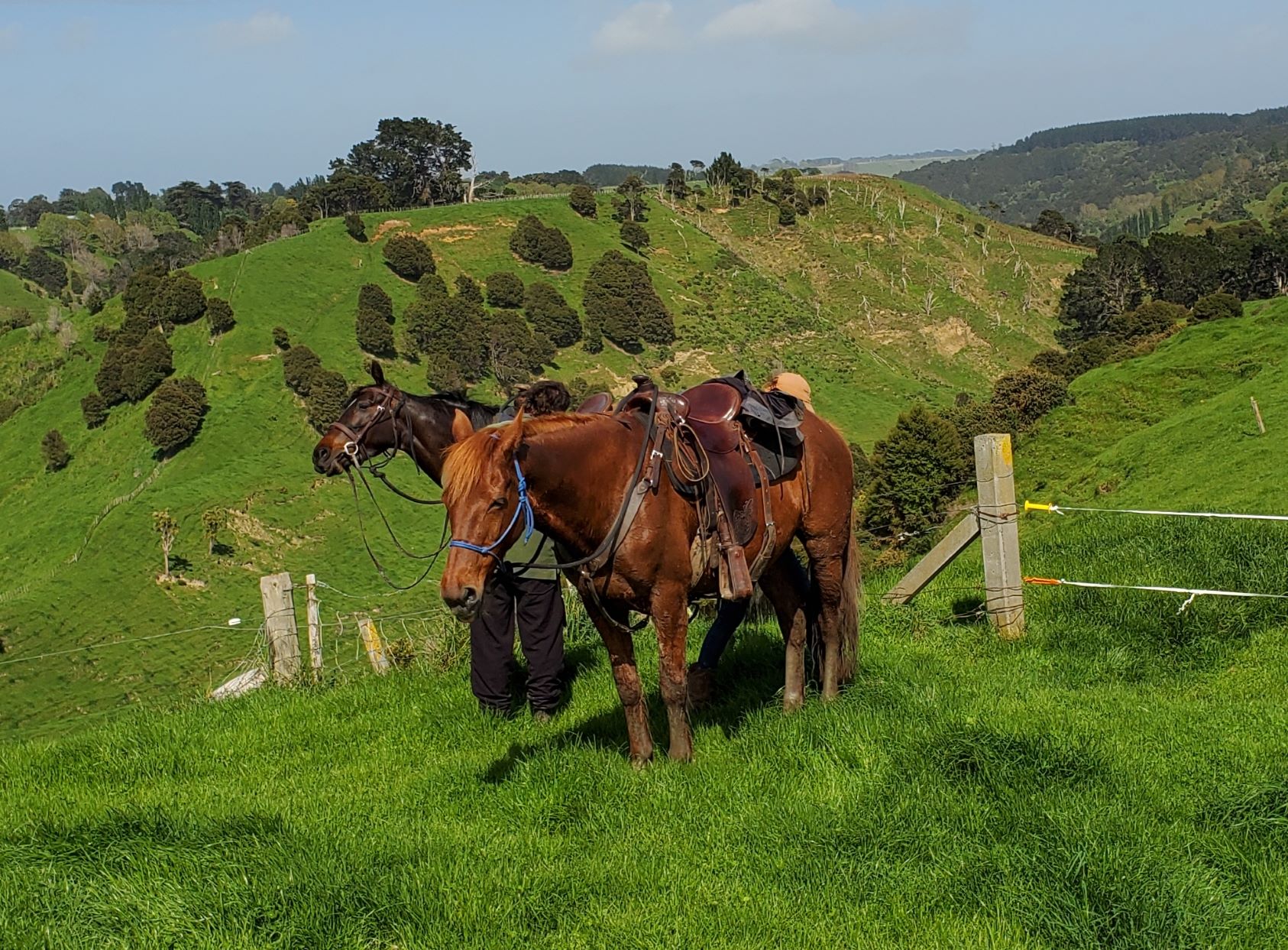 Teen Camps - Falling Creek Ranch
