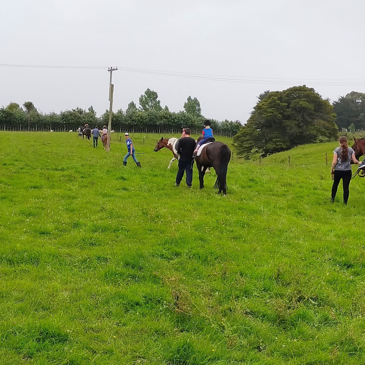 Home - Falling Creek Ranch