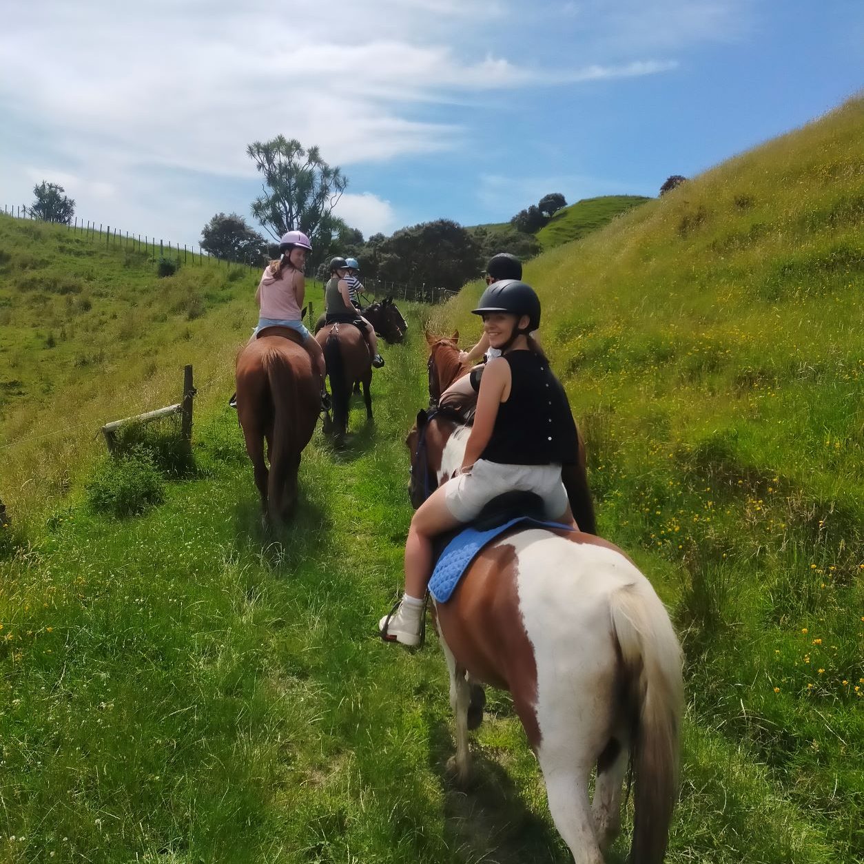 Home - Falling Creek Ranch