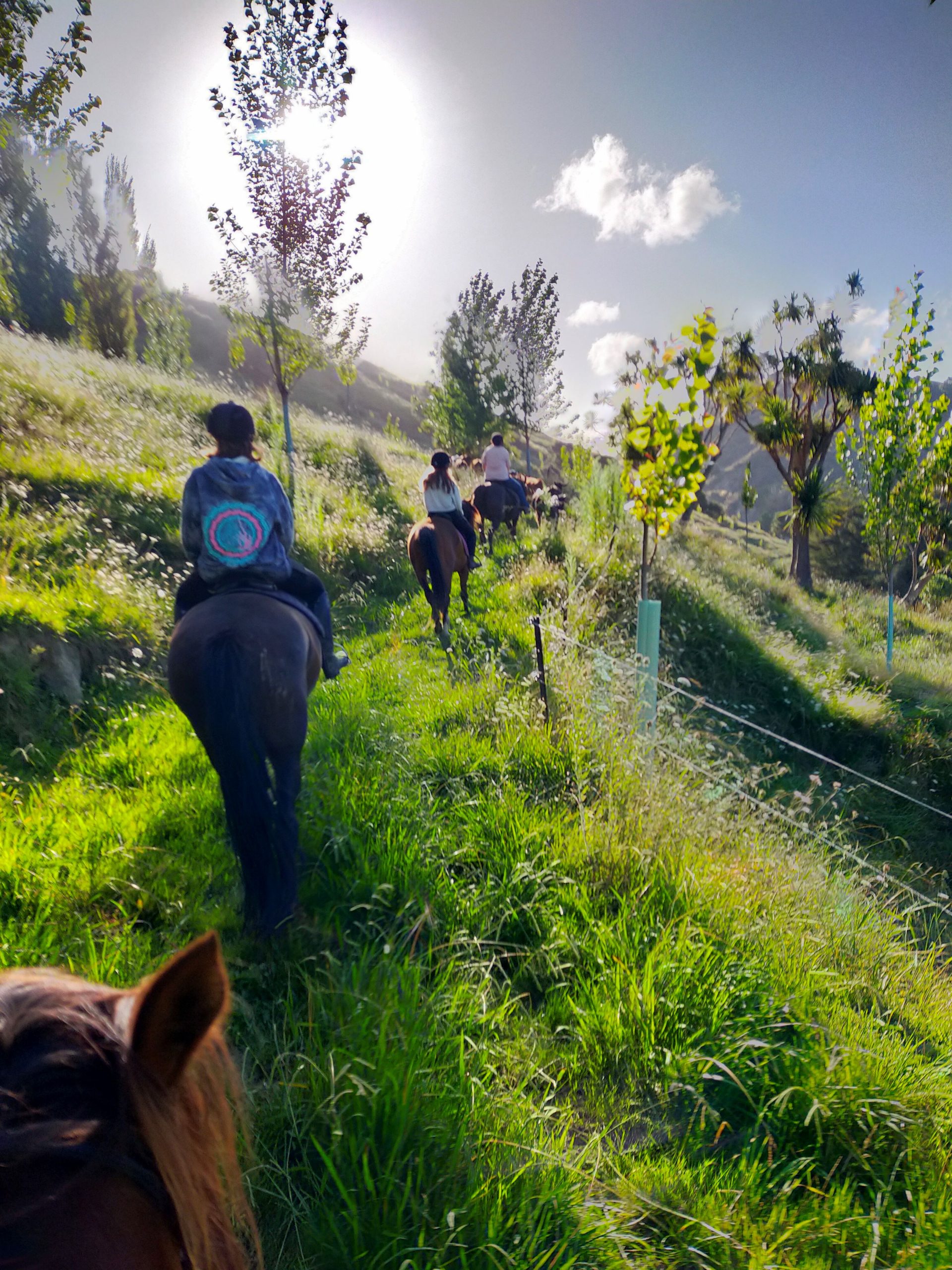 Adult Horse Riding Camps - Falling Creek Ranch