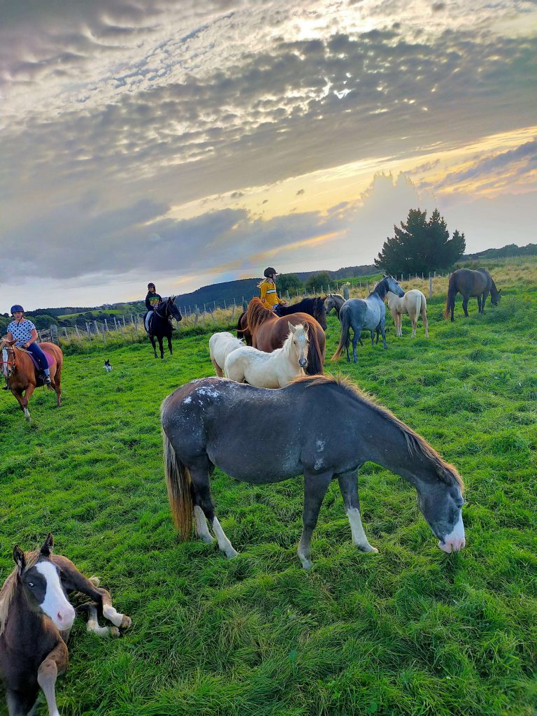 Adult Horse Riding Camps - Falling Creek Ranch