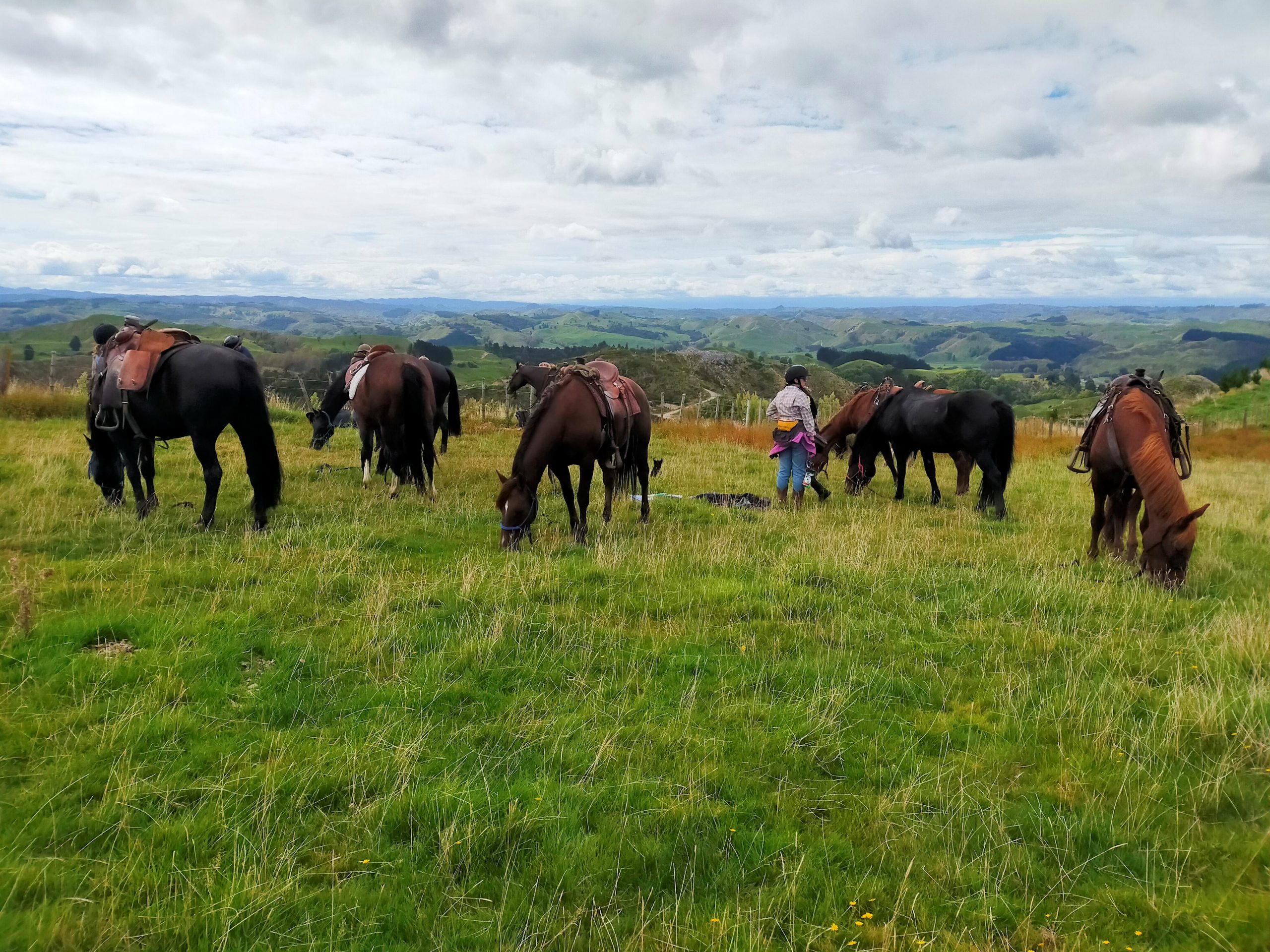 Adult Horse Riding Camps - Falling Creek Ranch