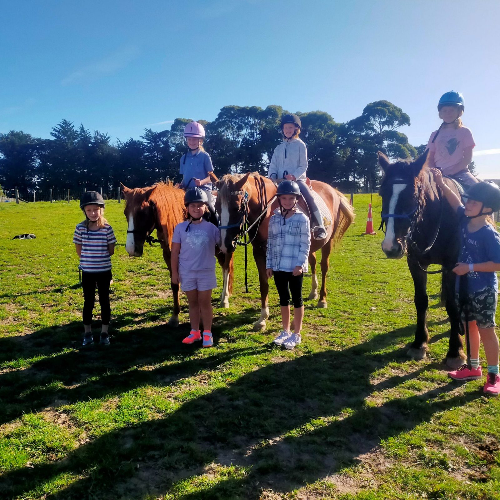 Home - Falling Creek Ranch